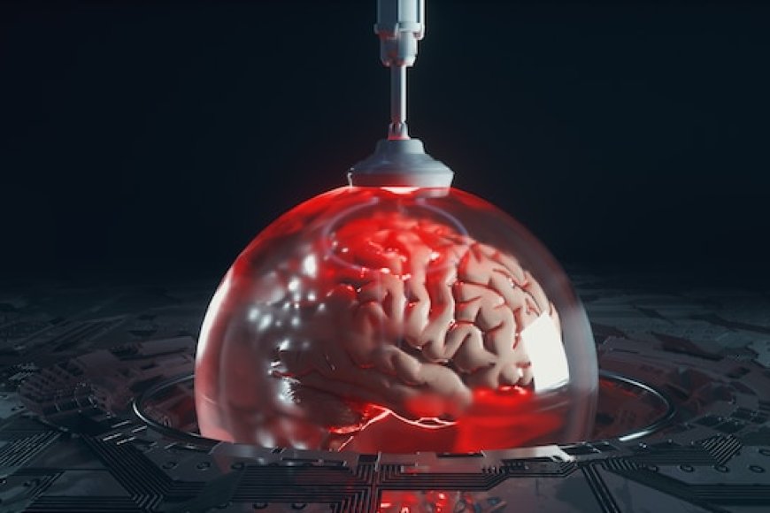 Master Your Body's Control Panel: The Nervous System Demystified! - The ...